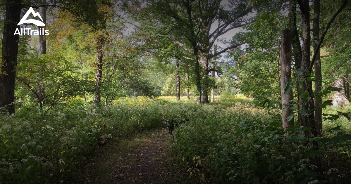 Best walking trails in Oregonia | AllTrails