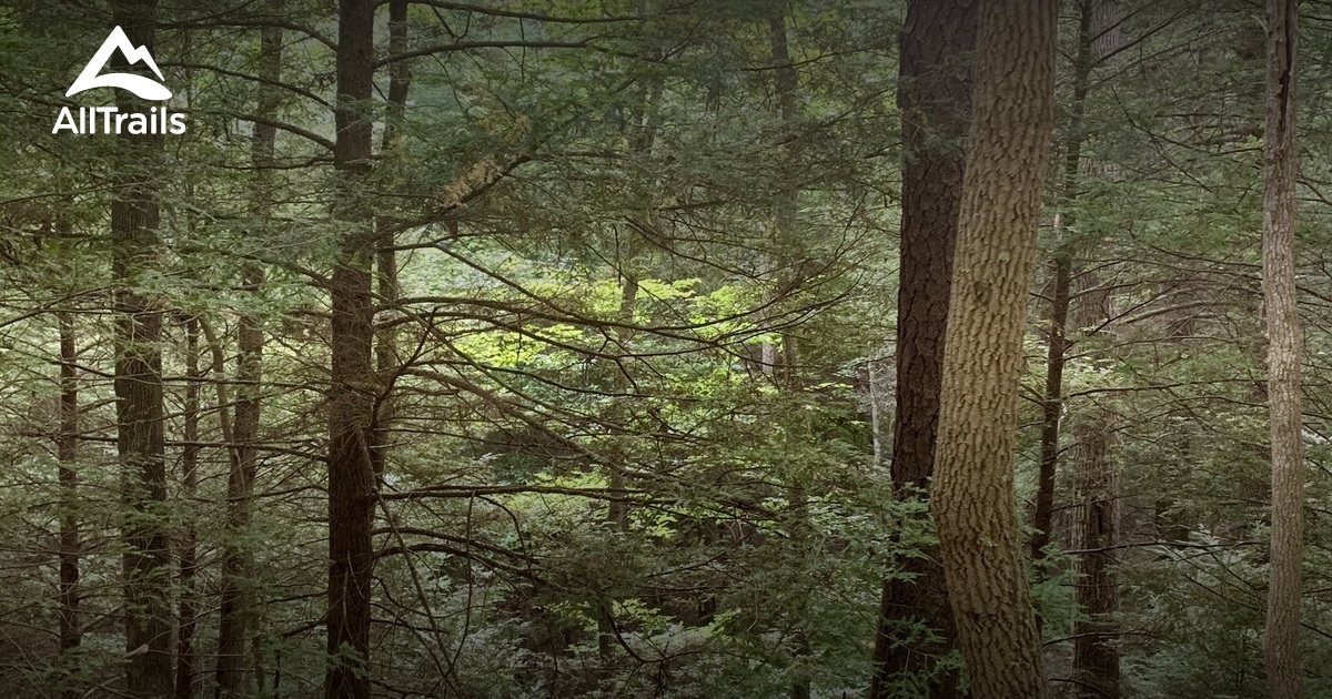 Best hikes and trails in Otway | AllTrails