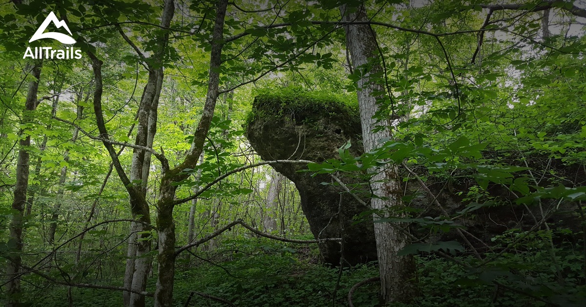 10 Best trails and hikes in Peebles | AllTrails