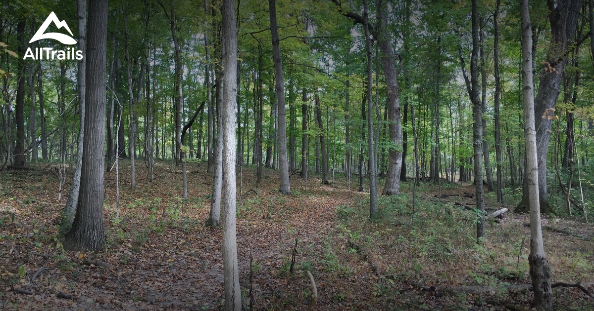 Best hikes and trails in Ross | AllTrails