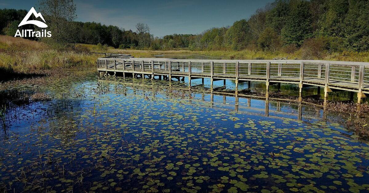Best hikes and trails in Sharon Center | AllTrails