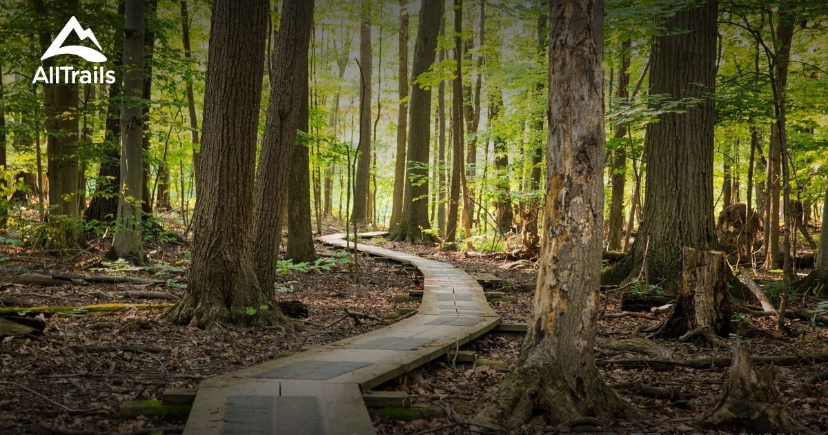 10 Best trails and hikes in Strongsville | AllTrails