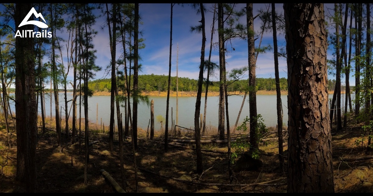 Best hikes and trails in Lane | AllTrails