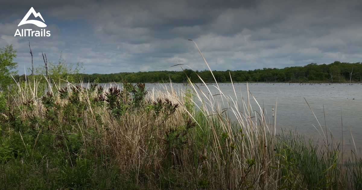 Best forest trails in Prague | AllTrails