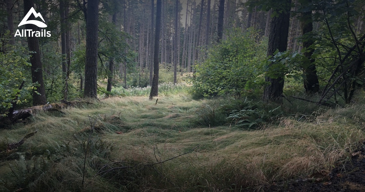 Best hikes and trails in Adair Village | AllTrails