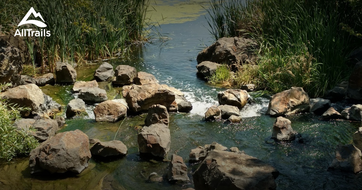Best Trails near Albany, Oregon | AllTrails