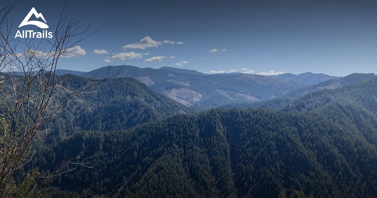 Best hikes and trails in Bay City | AllTrails