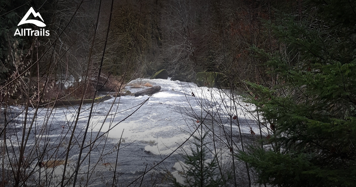 Best hikes and trails in Blachly | AllTrails