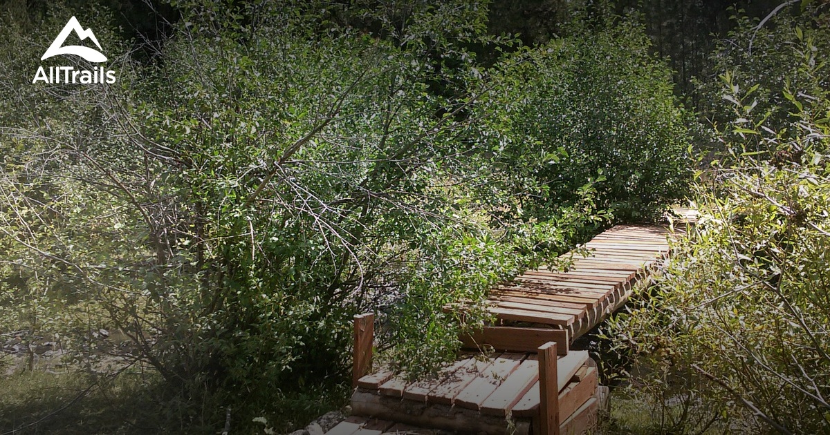 Best hikes and trails in Burns | AllTrails