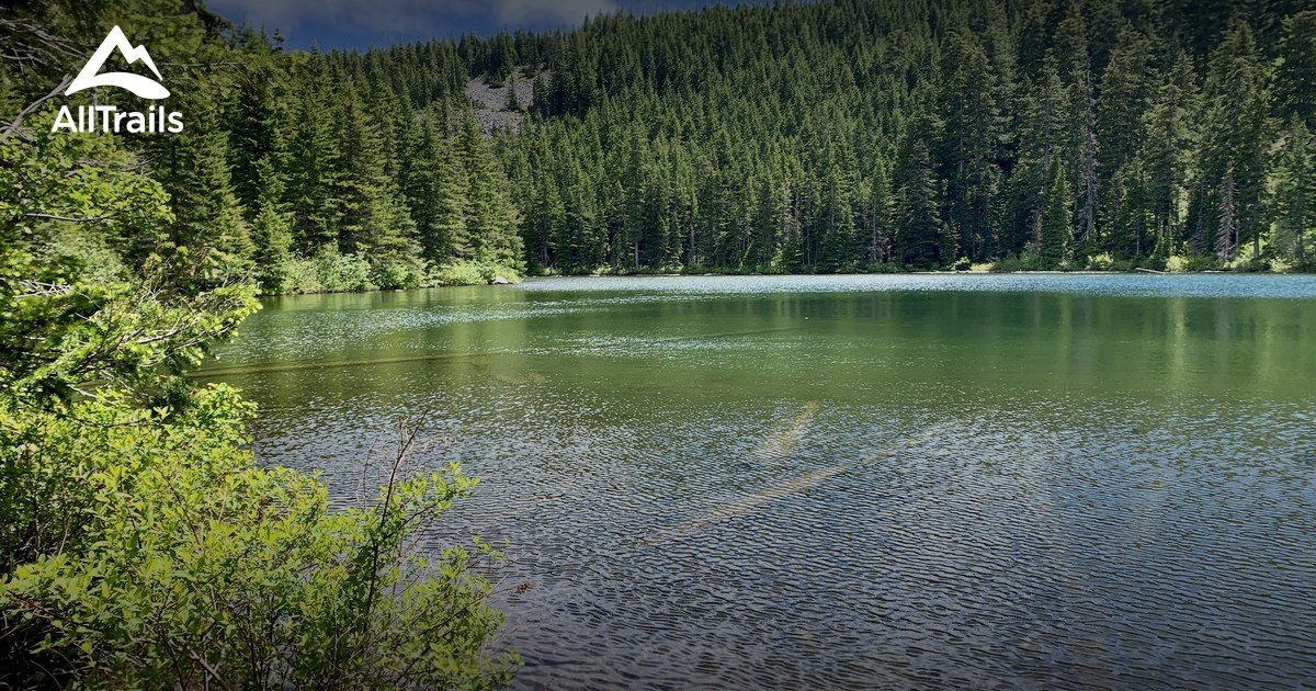 Best Trails near Cascade Locks, Oregon | AllTrails