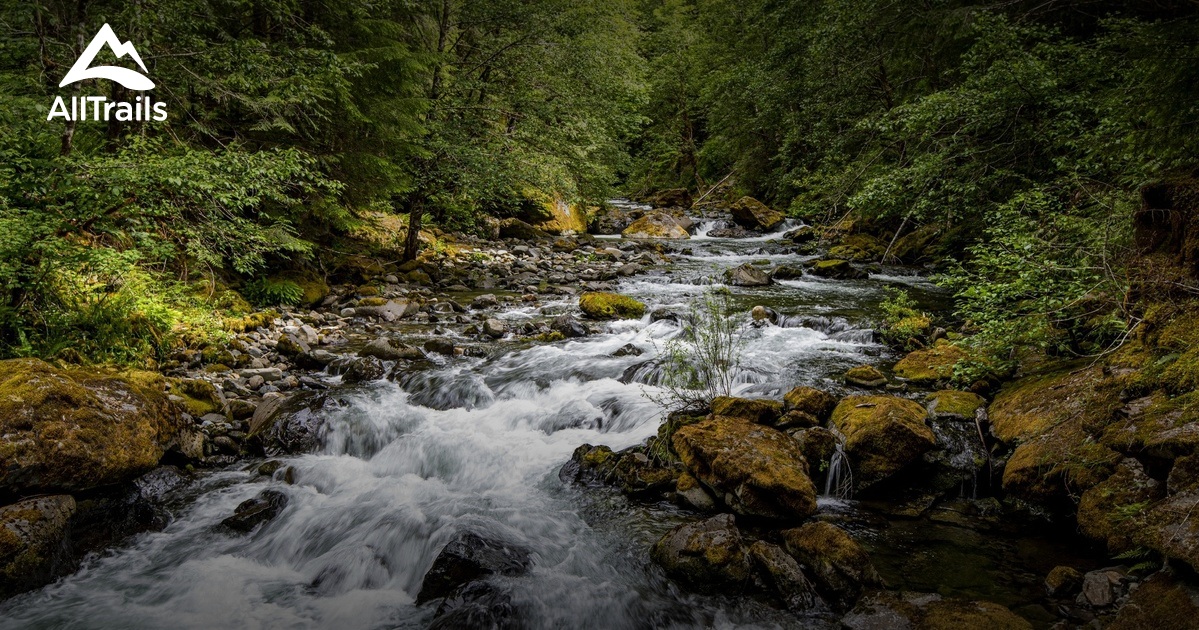 10 Best waterfall trails in Dorena | AllTrails