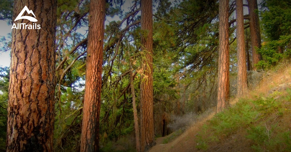 Best Trails near Dufur, Oregon | AllTrails