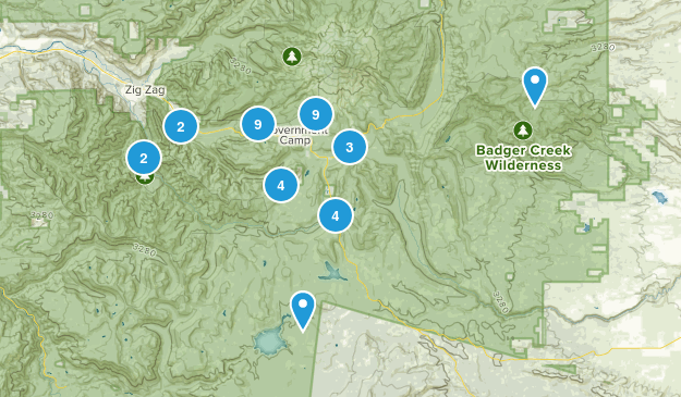 Best Trails near Government Camp, Oregon | AllTrails