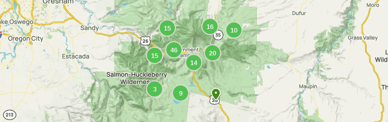 10 Best Trails and Hikes in Government Camp | AllTrails