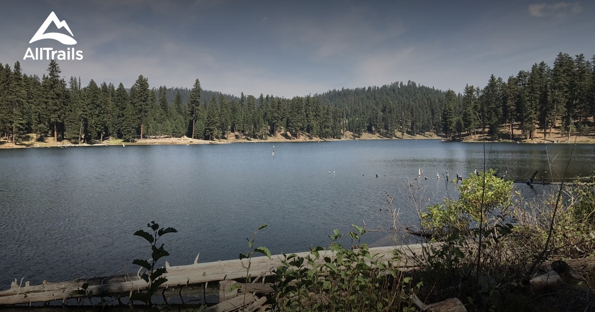 Best forest trails in John Day | AllTrails