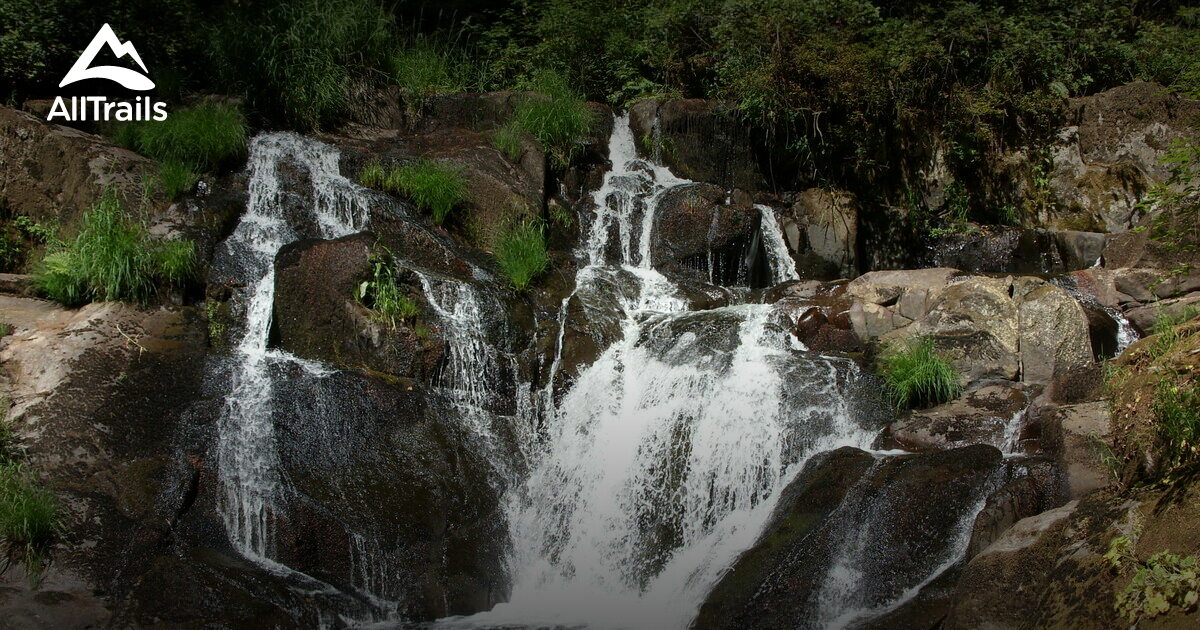 Best hikes and trails in Mapleton | AllTrails