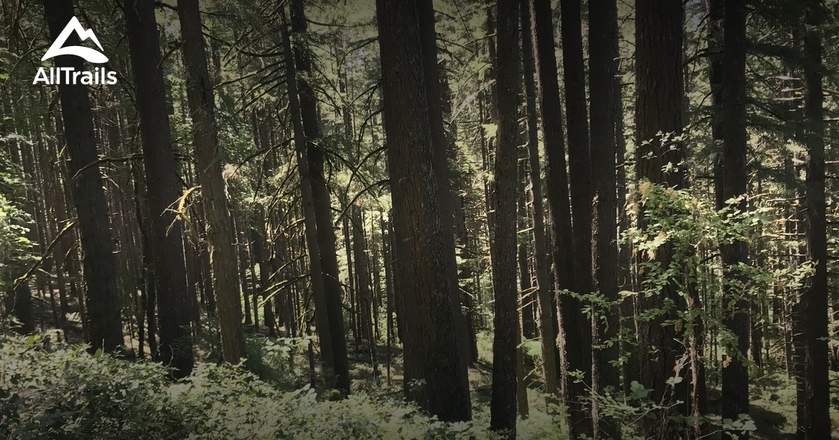 Best Trails near Marcola, Oregon | AllTrails