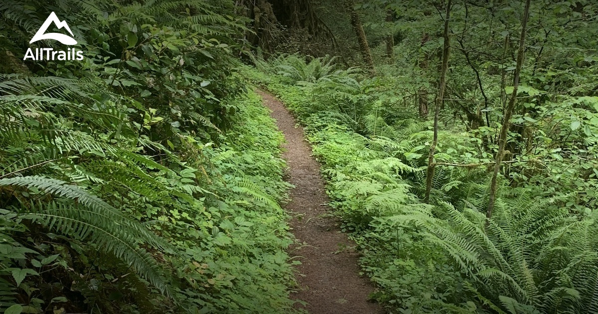 Best hikes and trails in Marcola | AllTrails