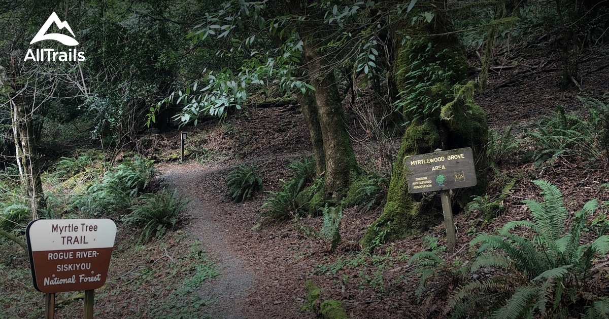 Best short trails in Ophir | AllTrails