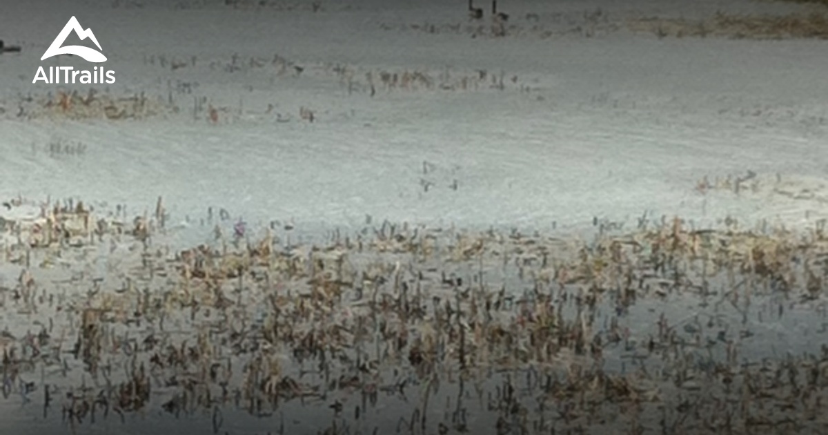 Best hikes and trails in Rickreall | AllTrails