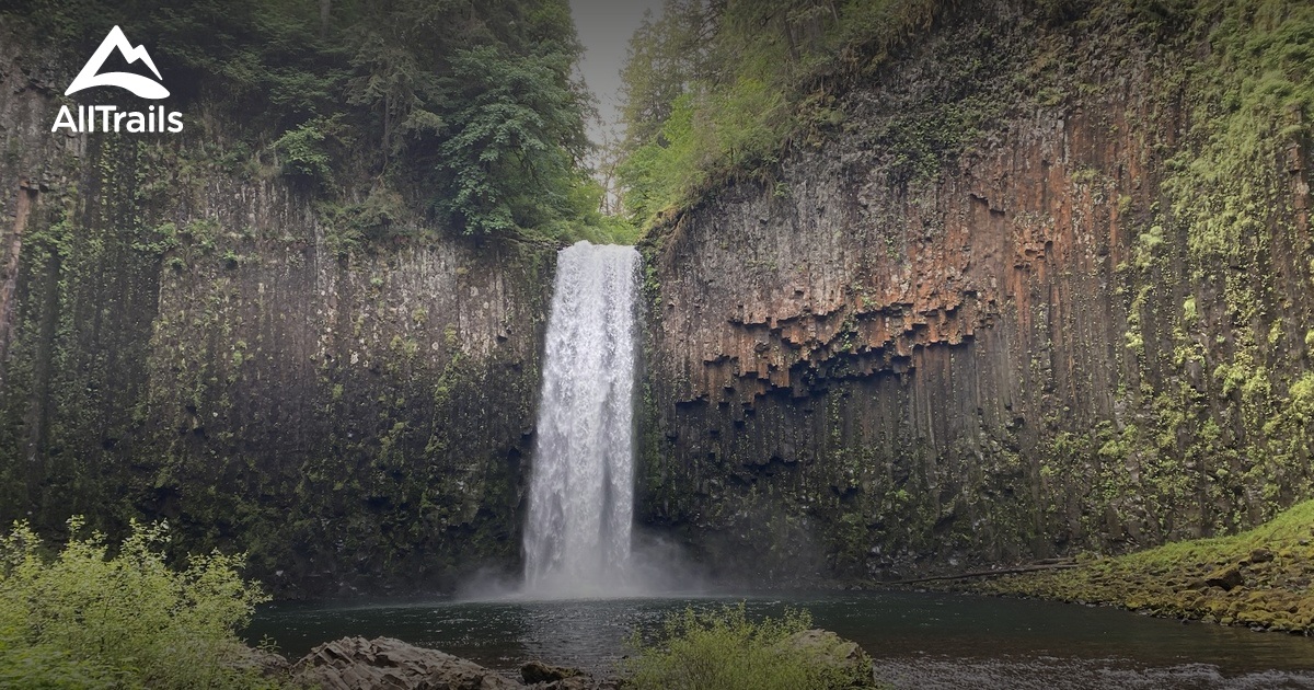 Best trails in Scotts Mills, Oregon | AllTrails