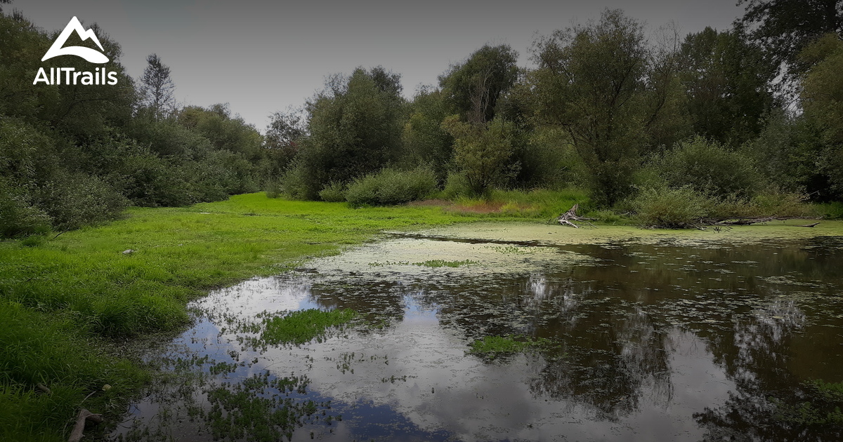 Best hikes and trails in Shedd | AllTrails