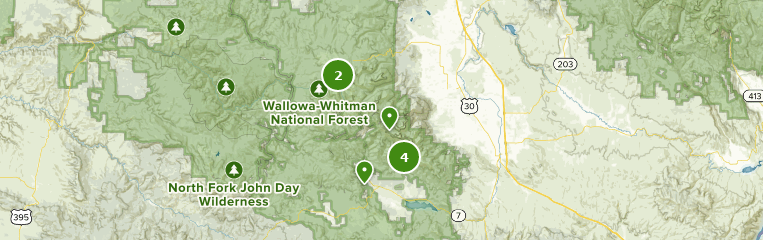 Best Trails near Sumpter, Oregon | AllTrails