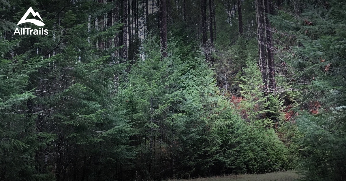 Best hikes and trails in Vida | AllTrails