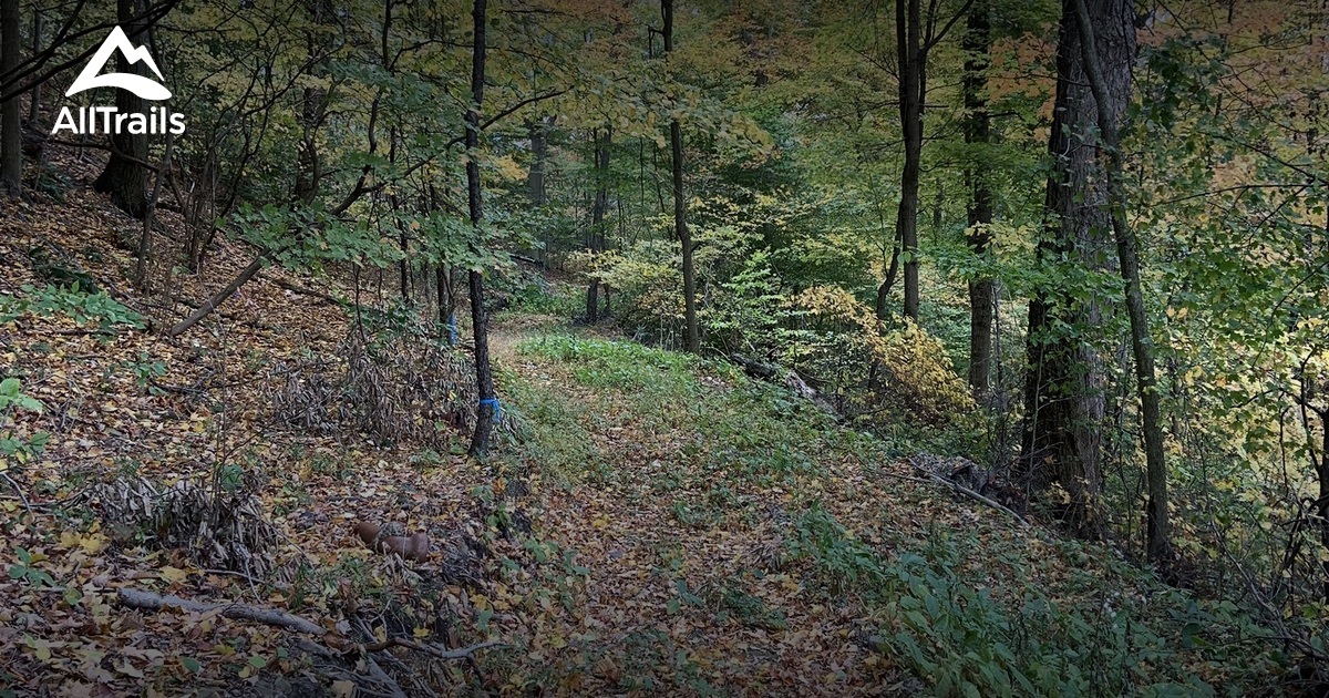 Best hikes and trails in Aliquippa | AllTrails