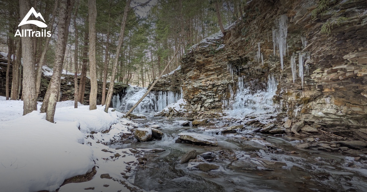 Best hikes and trails in Arnot | AllTrails