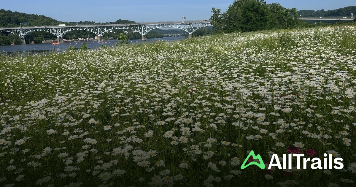 Best hikes and trails in Aspinwall | AllTrails