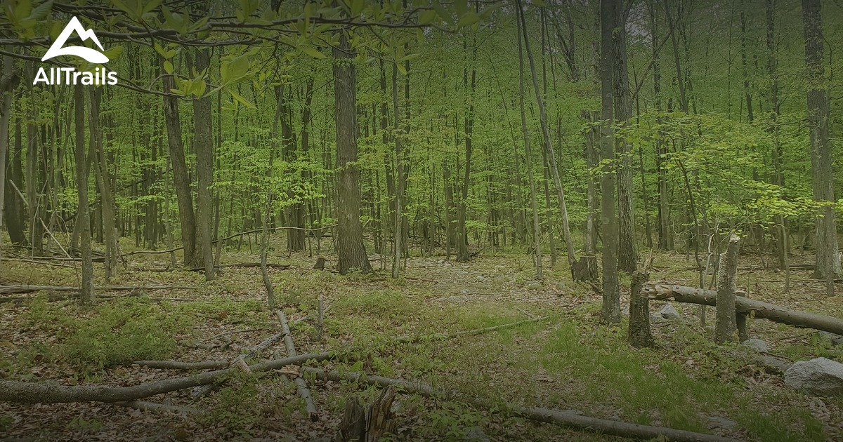 Best hikes and trails in Avoca | AllTrails