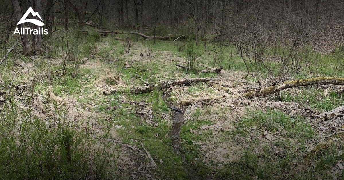 I sentieri più belli per bird watching in Bethel Park | AllTrails