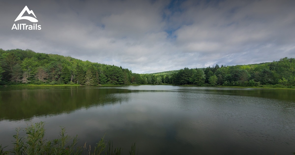 Best hikes and trails in Brackney | AllTrails