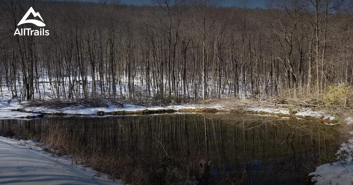 Best hikes and trails in Buffalo Mills | AllTrails