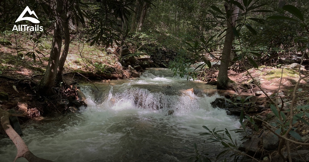 Best hikes and trails in Calvin | AllTrails