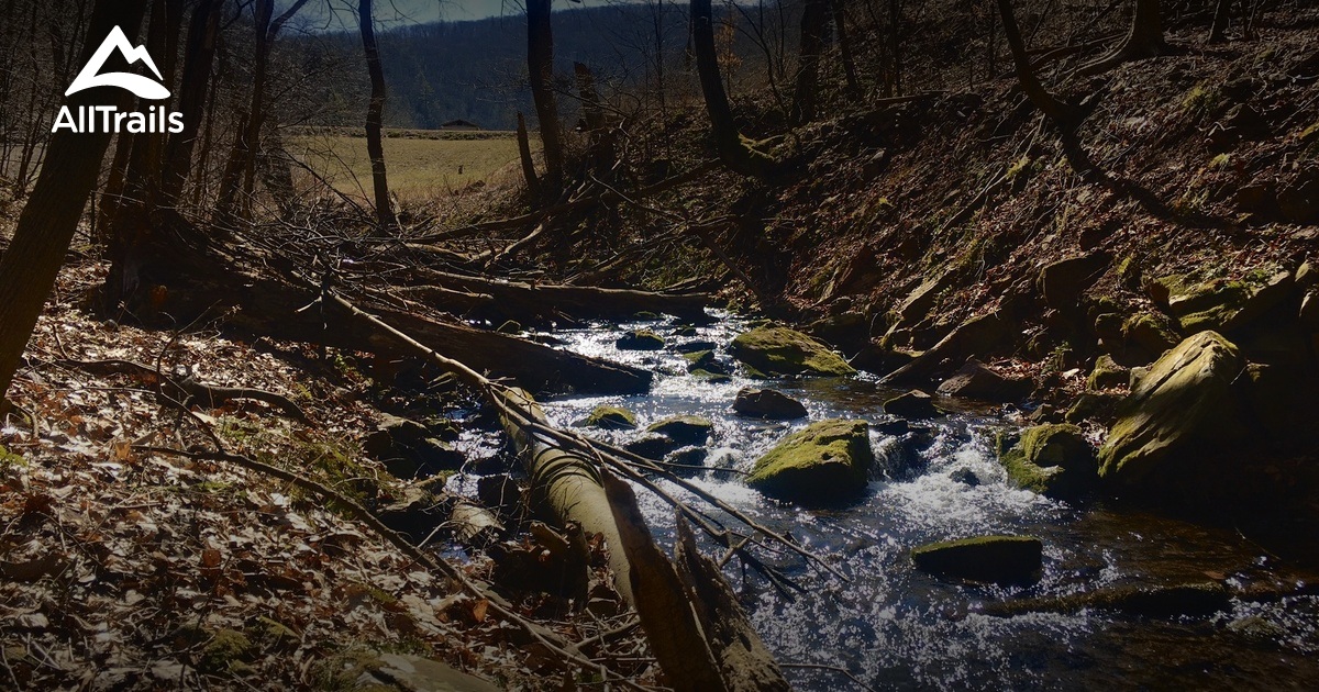 Best hikes and trails in Castanea | AllTrails