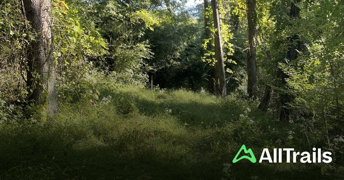 De beste wandelroutes om te wandelen in Castle Shannon | AllTrails