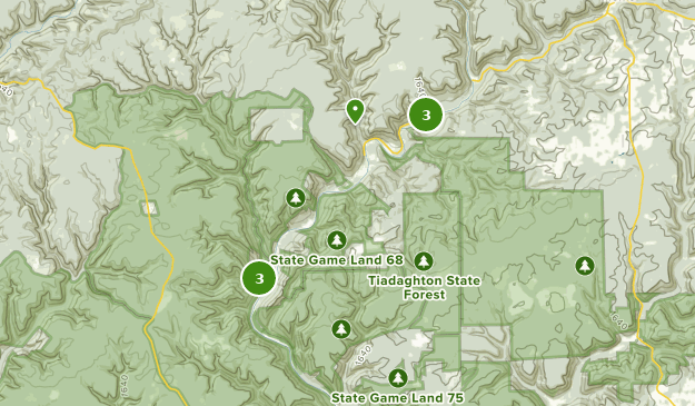 Best Trails near Cedar Run, Pennsylvania | AllTrails