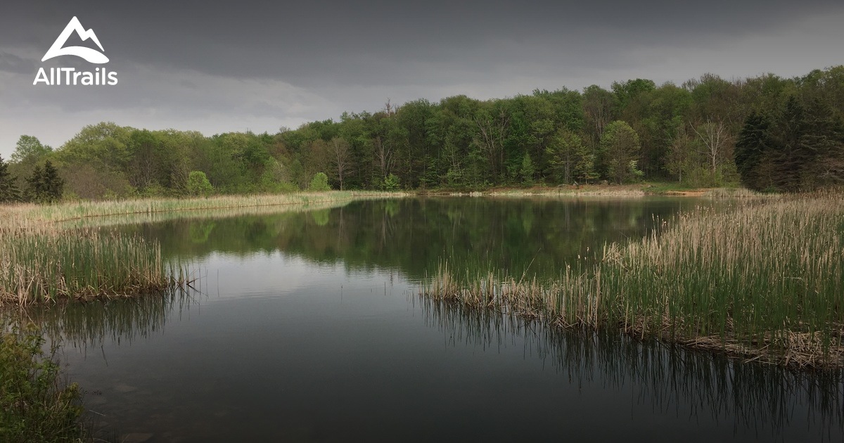 Best Trails near Champion, Pennsylvania | AllTrails