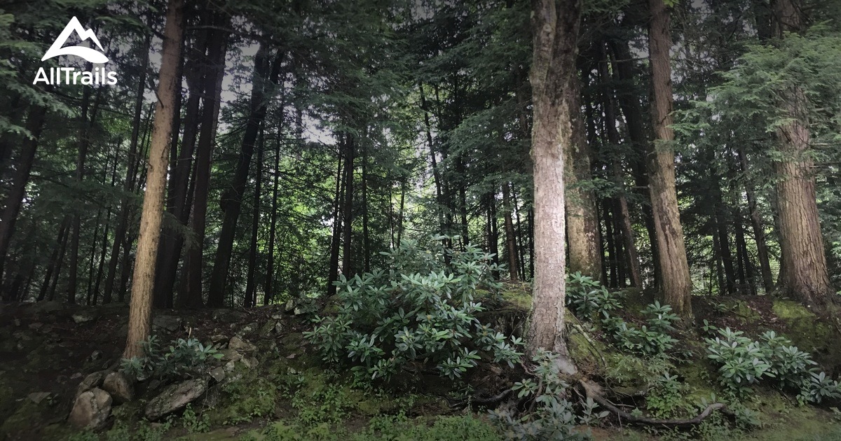 Best hikes and trails in Clarington | AllTrails