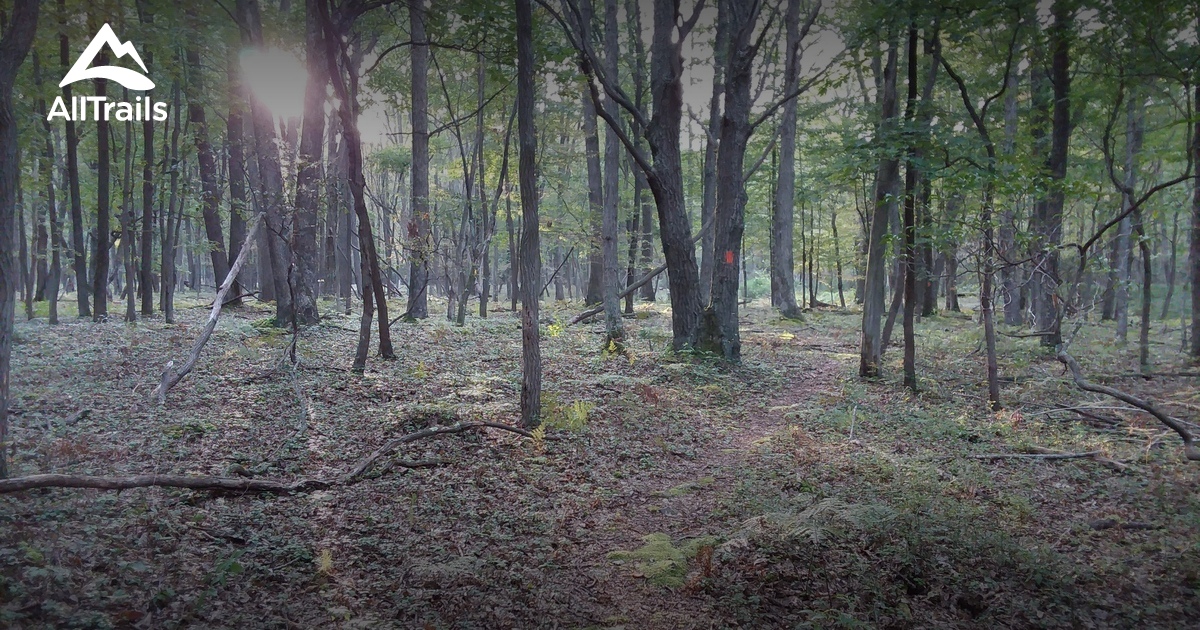 Best moderate trails in Clearfield | AllTrails