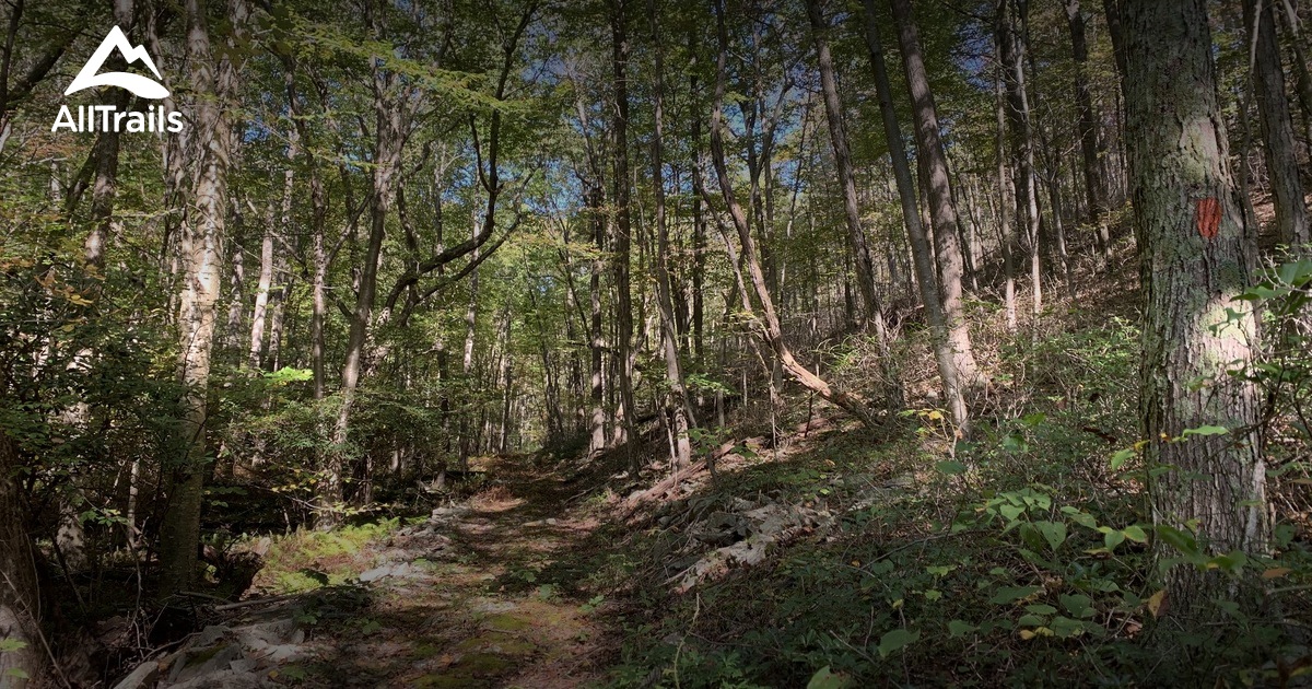 Best hikes and trails in Clearville | AllTrails