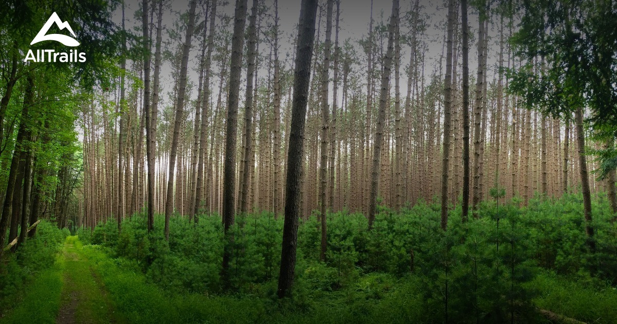 Best river trails in Cooksburg | AllTrails