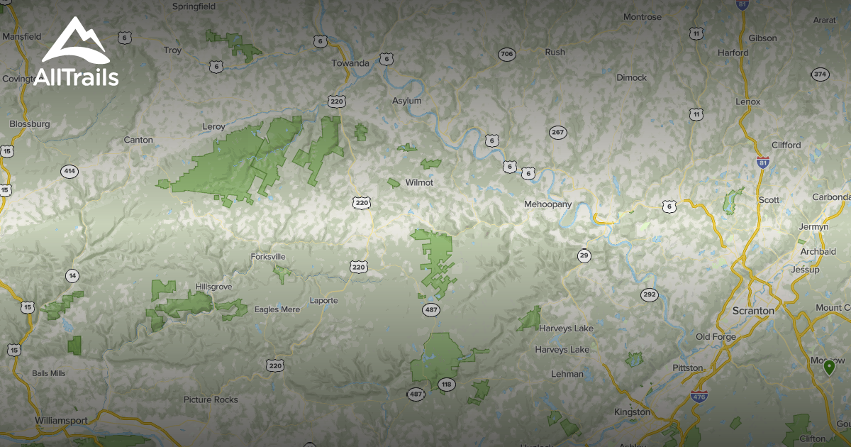 Die Besten Routen mit Leinenpflicht in Covington | AllTrails