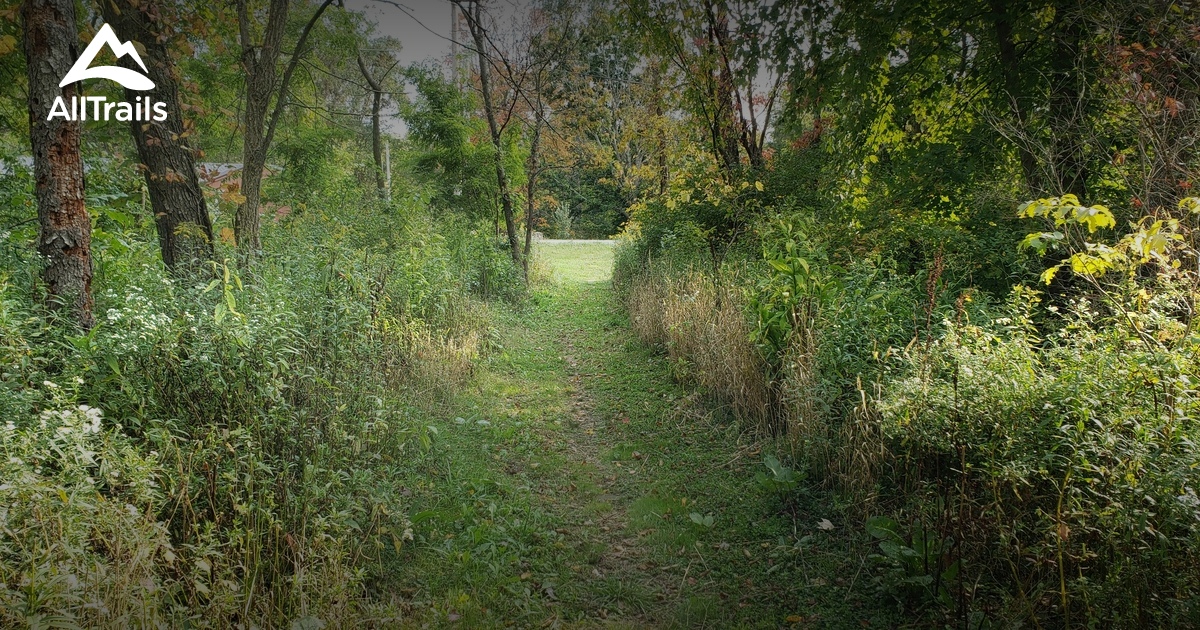 Best wildflower trails in Darlington | AllTrails