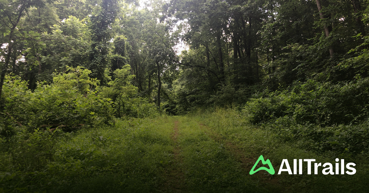 Best walking trails in Dillsburg | AllTrails