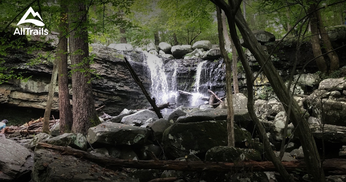 Best Forest Trails in Erwinna | AllTrails