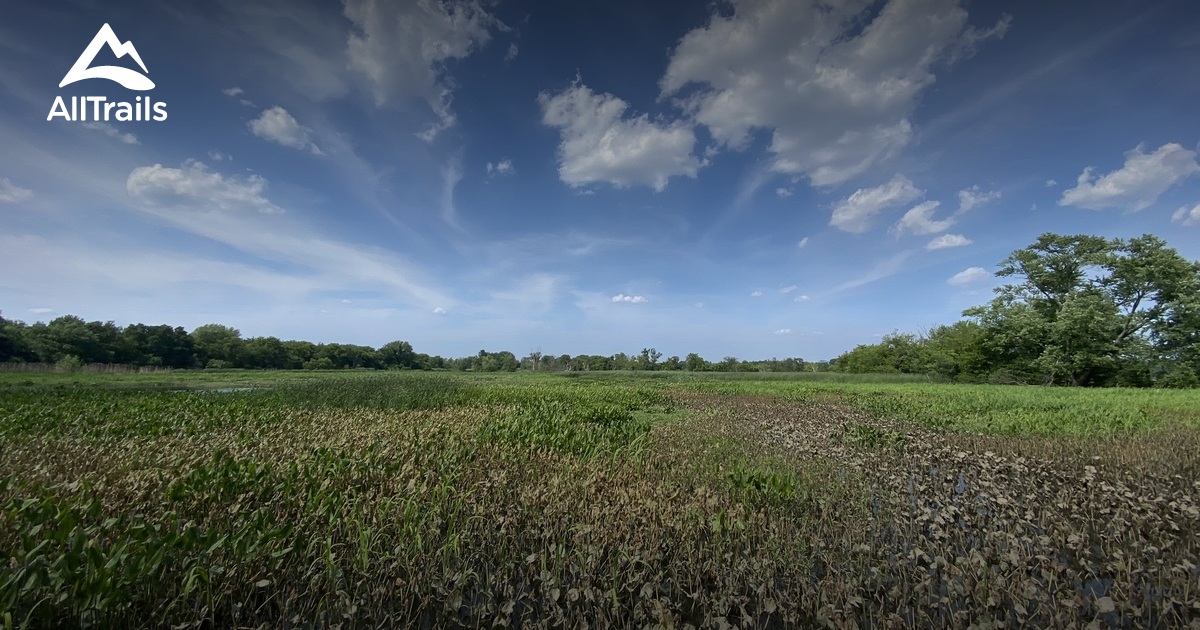 Best hikes and trails in Essington | AllTrails