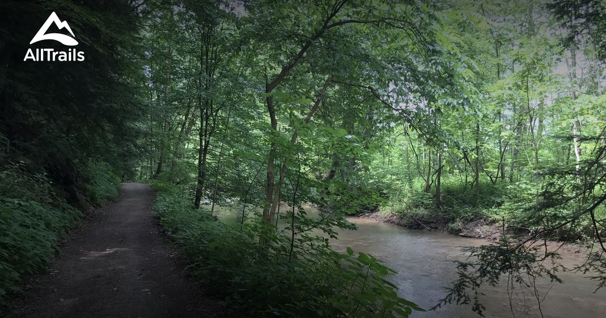 Best kid-friendly trails in Export | AllTrails